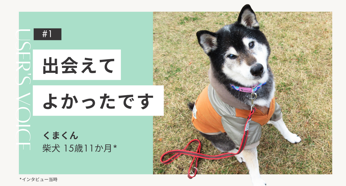 シニア犬用サプリメント「トライザ」｜飼い主さまインタビュー#1 | TRIZA